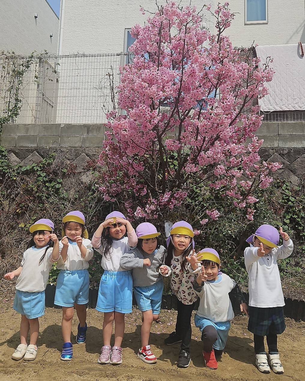 福岡市 Terra地球こども園「ゆめのもり」「はなのもり」