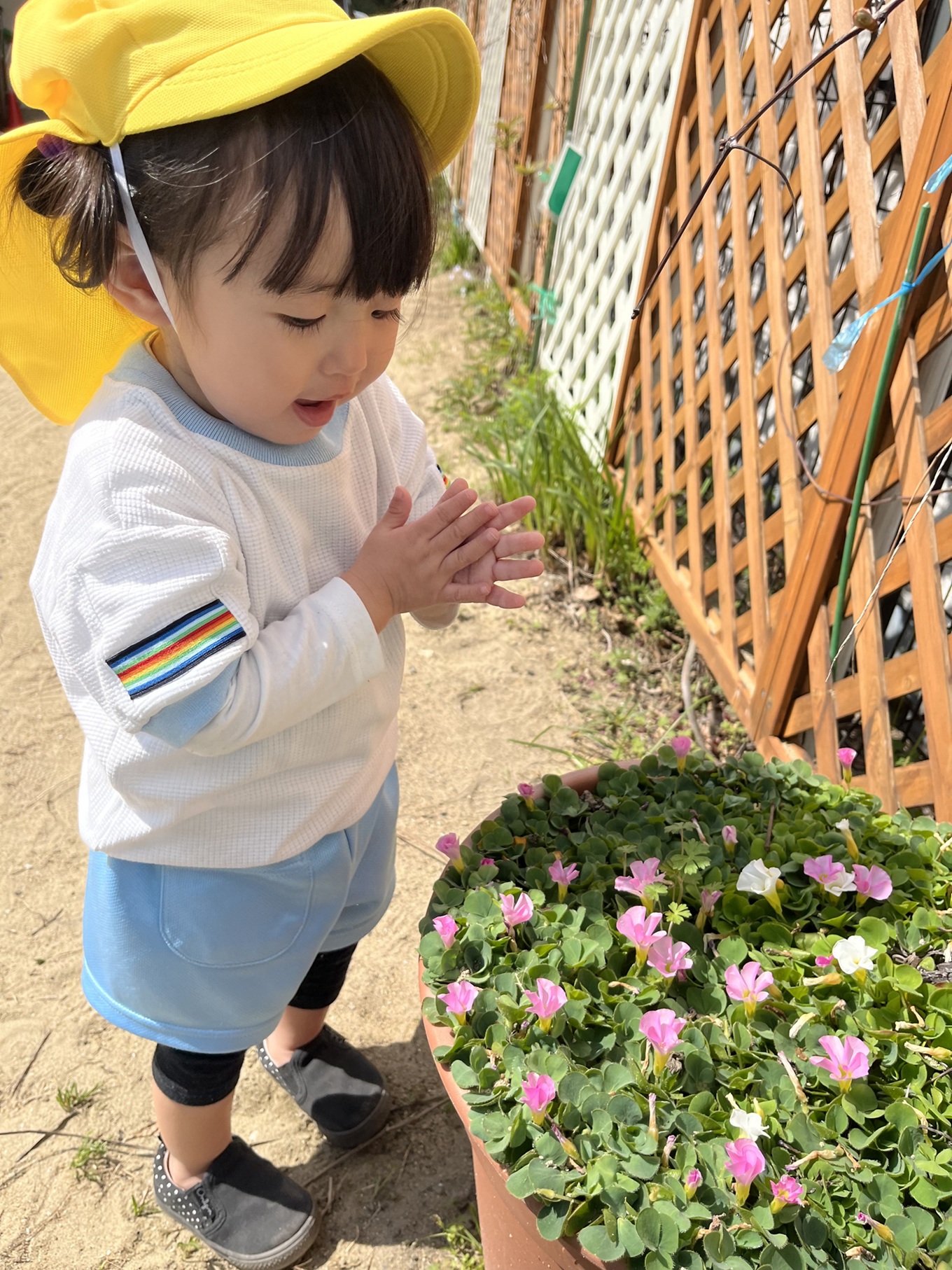 福岡市 Terra地球こども園「ゆめのもり」「はなのもり」